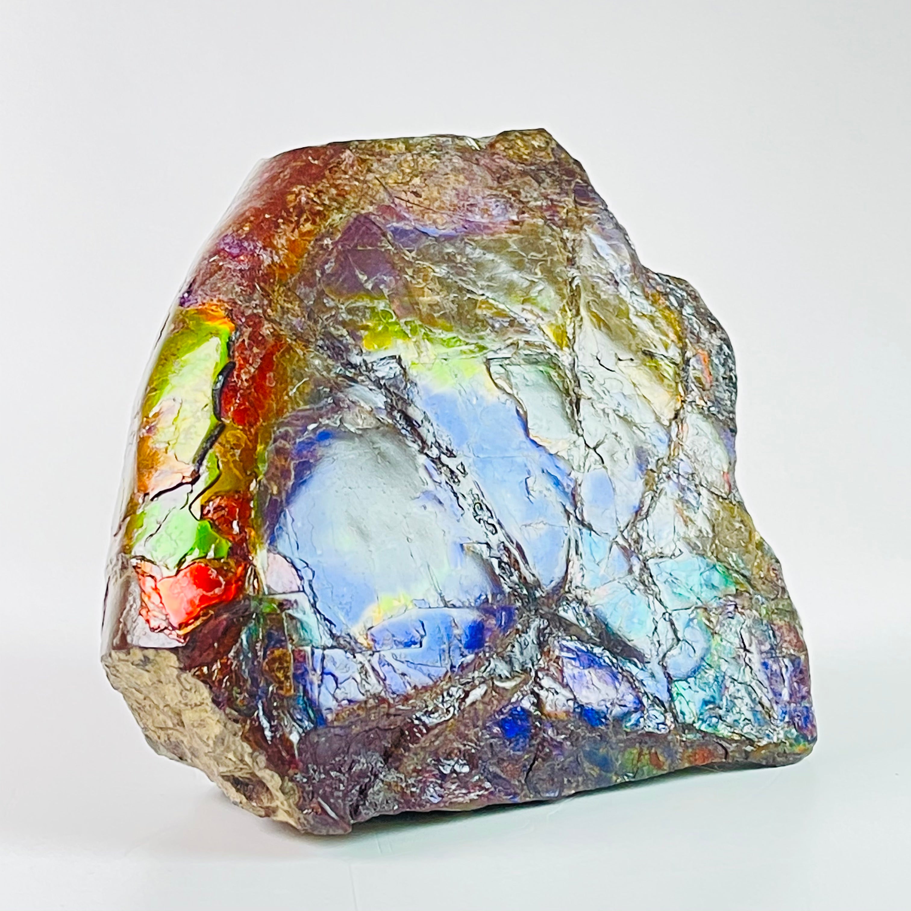 Ammolite Specimens – Fathom Stone Art Aspen